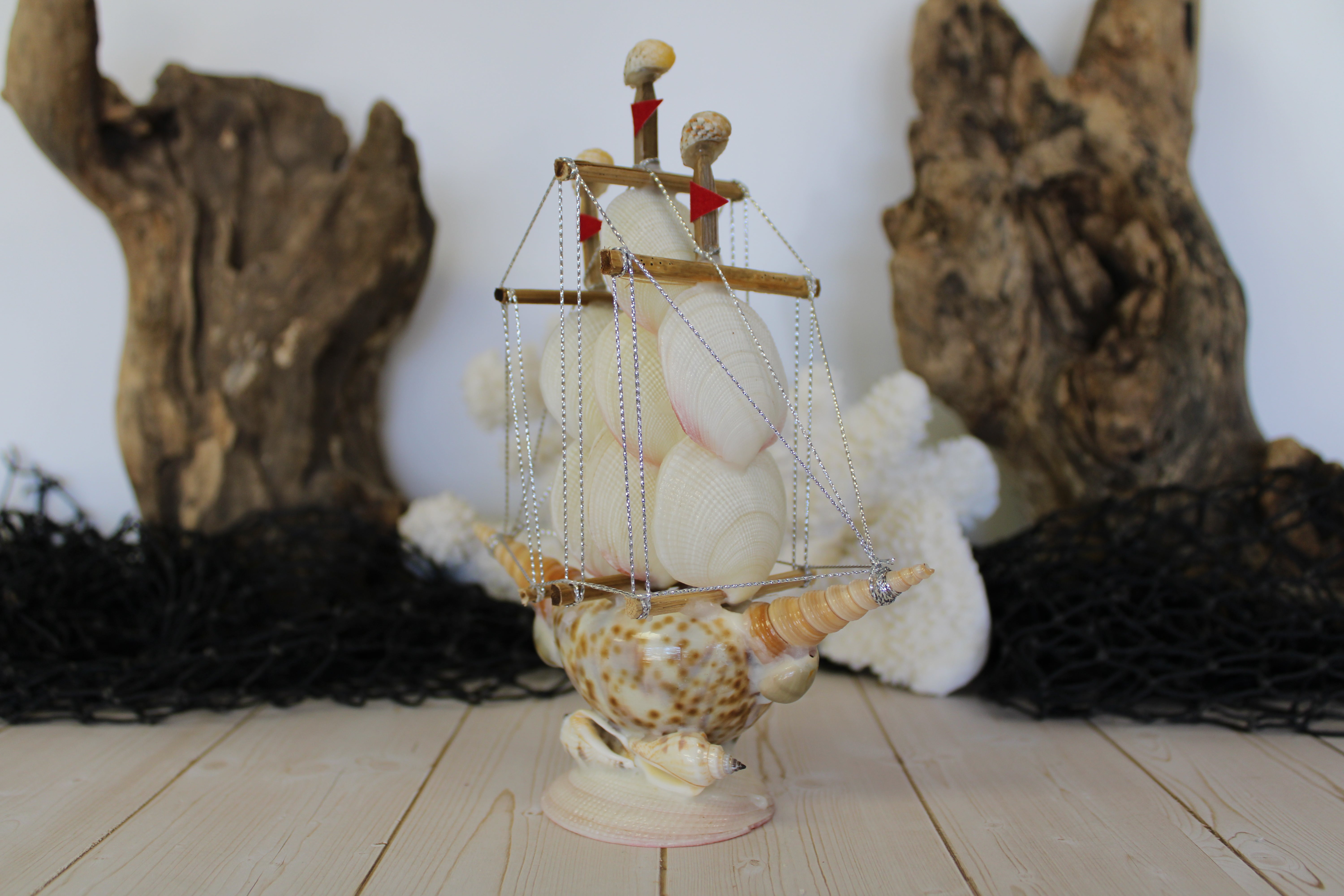Medium Shell Sailboat – Beach Bum Seashells