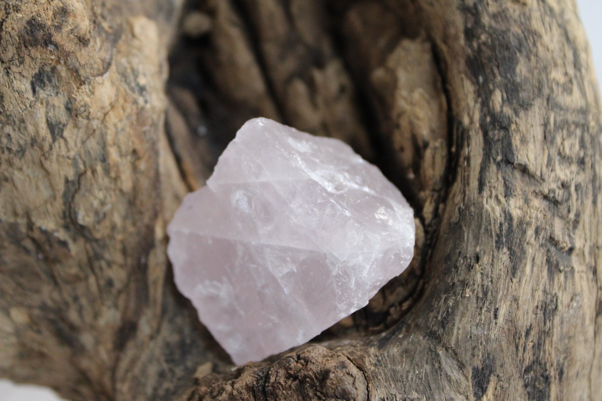 Rose Quartz – Beach Bum Seashells