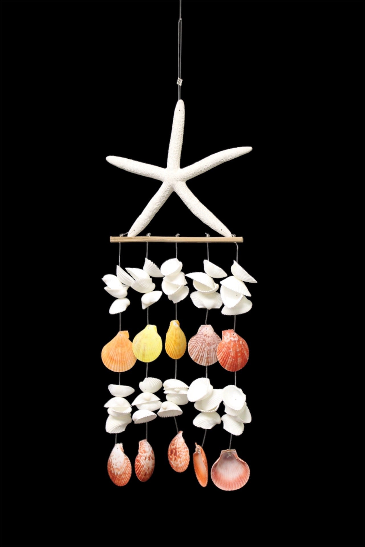 Starfish Wind Chime w/ Colored Pectin – Beach Bum Seashells